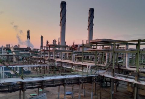 NUEVO PEMEX | Dipsa